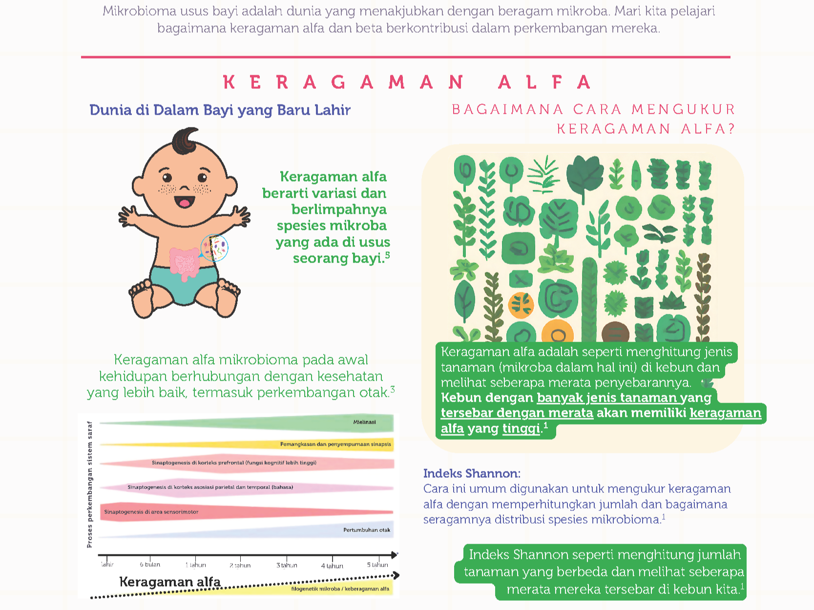 Memahami Keragaman Alfa dan Beta Terhadap Perkembangan Usus Bayi
